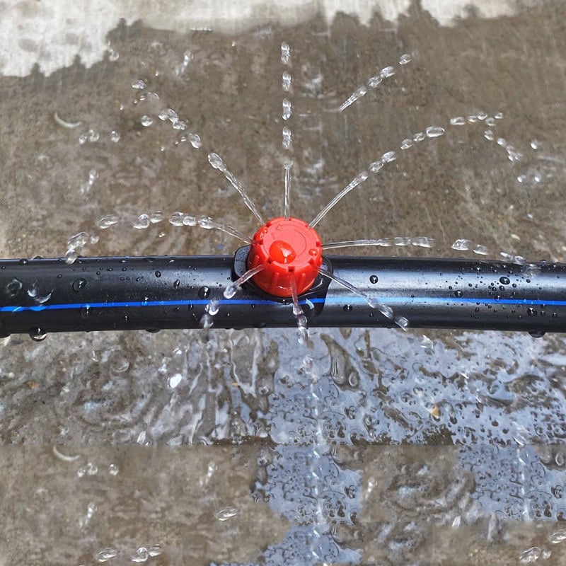 5bd3c916c68229aee95dd851de43a0f01b8802d6_800x.jpg?v=1713779808